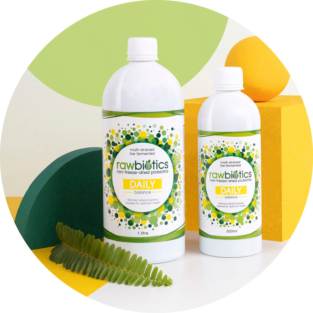 Daily Balance Probiotic | Rawbiotics – Rawbiotics SA