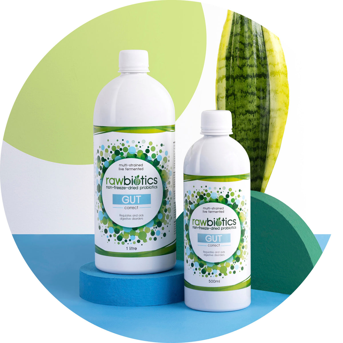 Gut Correct Probiotic | Rawbiotics – Rawbiotics SA